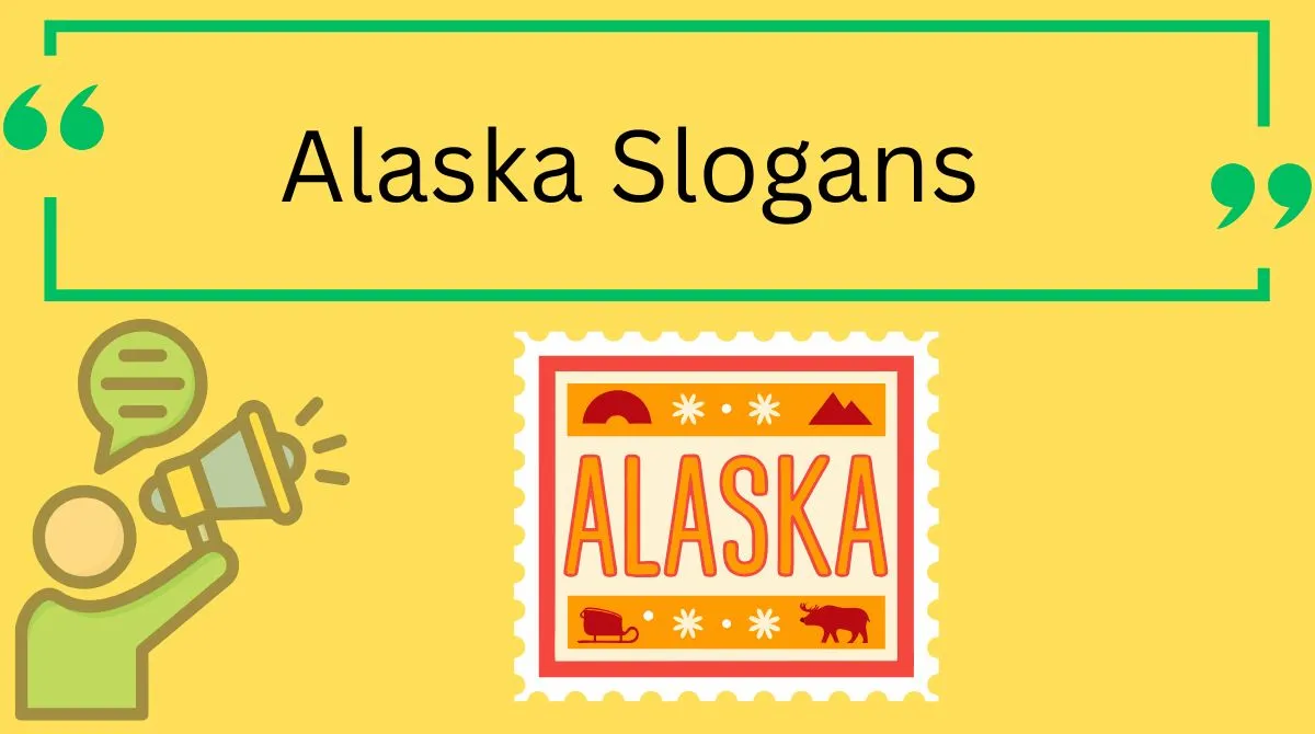 178+ Inspiring Alaska Slogans 🌲 ️ Adventure Awaits in 2025!