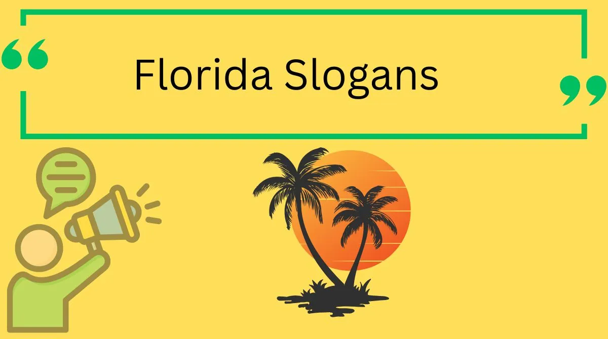 🌴 118+ Florida Slogans to Inspire Sunshine, Adventure & Dreams in 2025 ☀️
