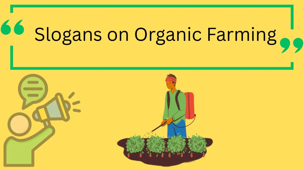 🌱 149+ Powerful Slogans on Organic Farming (2025) — Grow Clean, Live ...