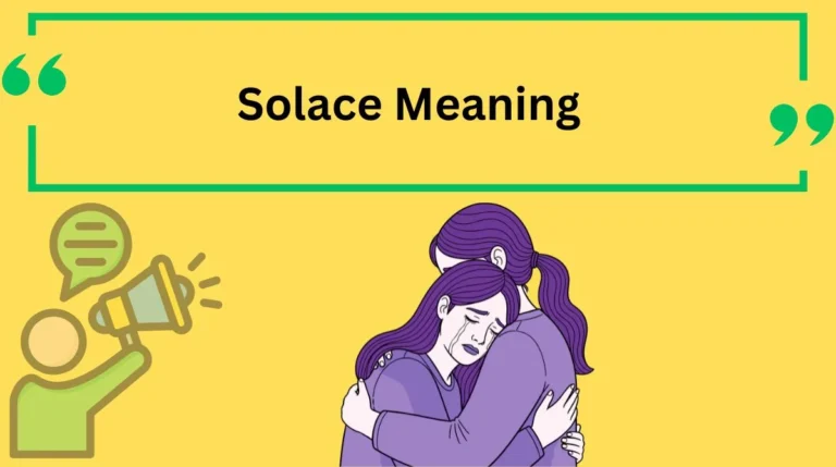 Solace Meaning: Complete Guide to Its Definition, Usage, and Modern ...