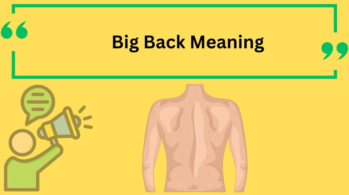 Big Back Meaning Slang in 2026: Why Everyone’s Saying It (And What It ...
