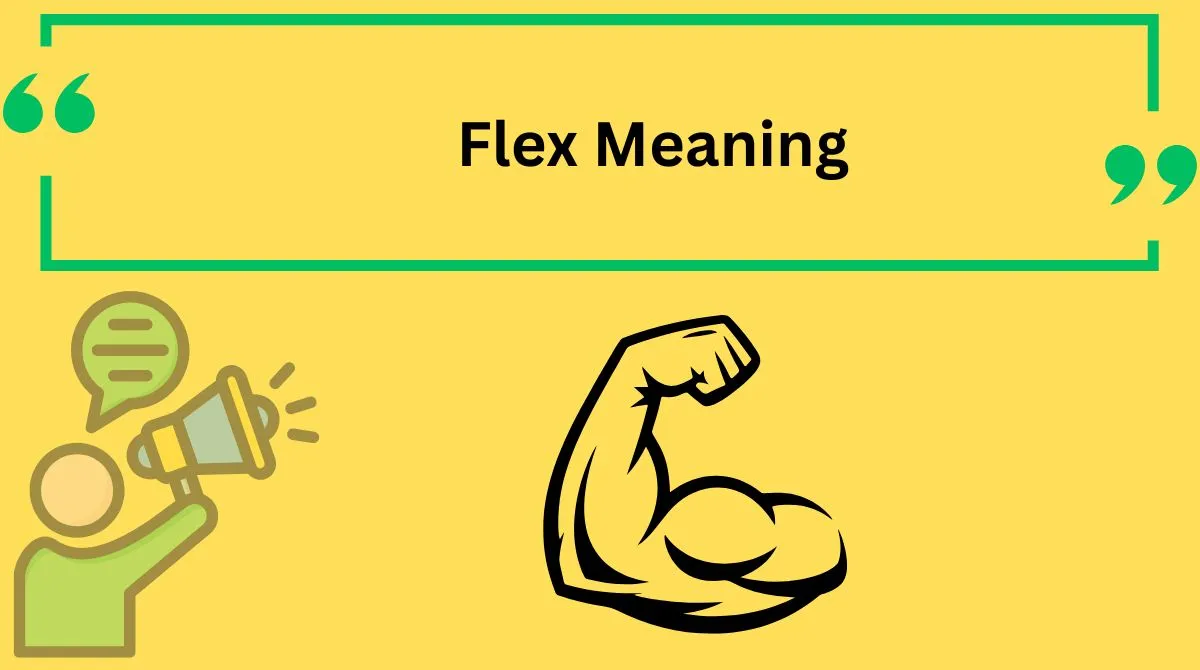 Flex Meaning Slang in 2026: The Real Social Media Power Move Everyone’s ...