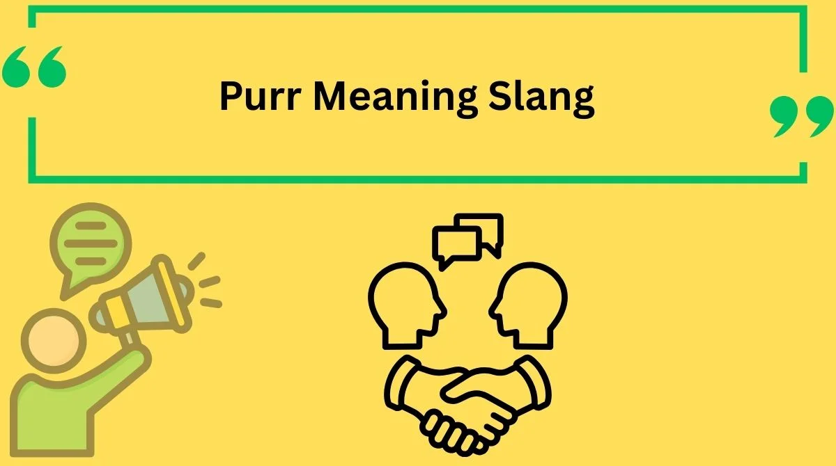 Purr Meaning Slang 2026: Why Everyone’s Saying It Online (And What It ...